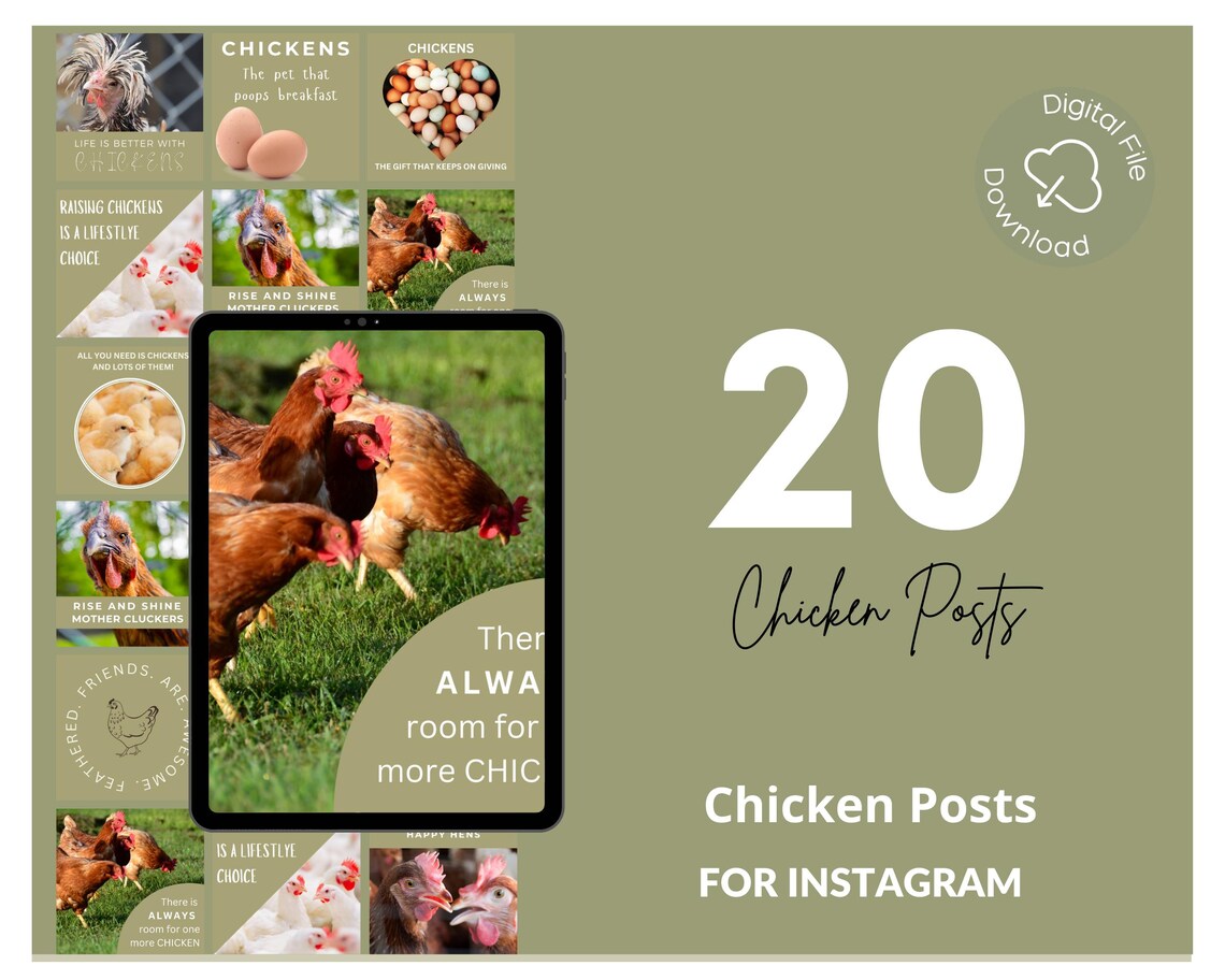 20 CHICKEN POSTS QUOTES Instagram | Inspirational Social Media Quotes ...