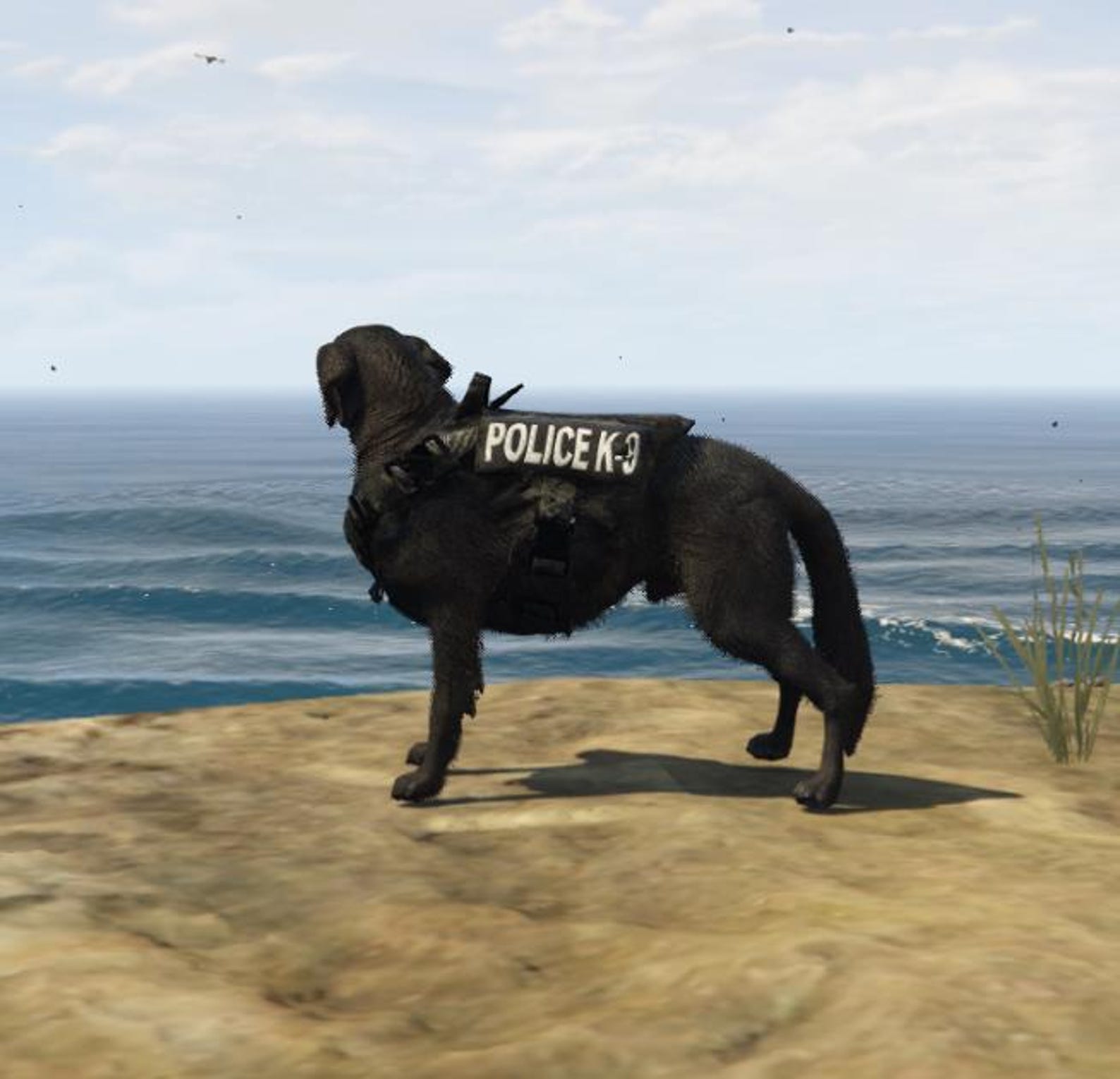 K9 Retriever Ped - Fivem - Etsy