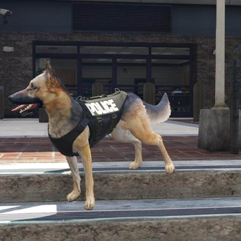 Fivem Peds Police - Etsy