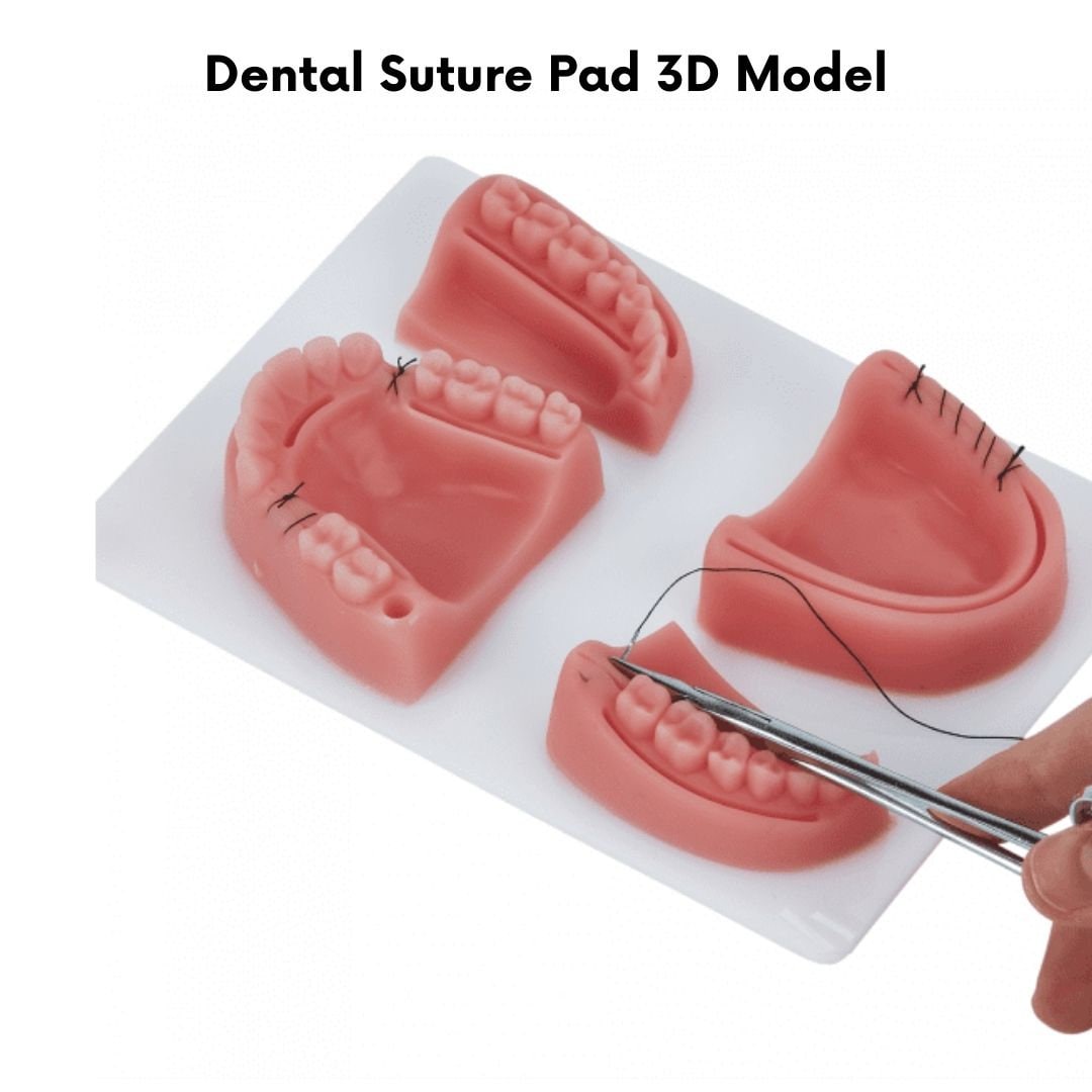 50x Dental Human Traumatic Skin Suture Medical Training Model Practice ...