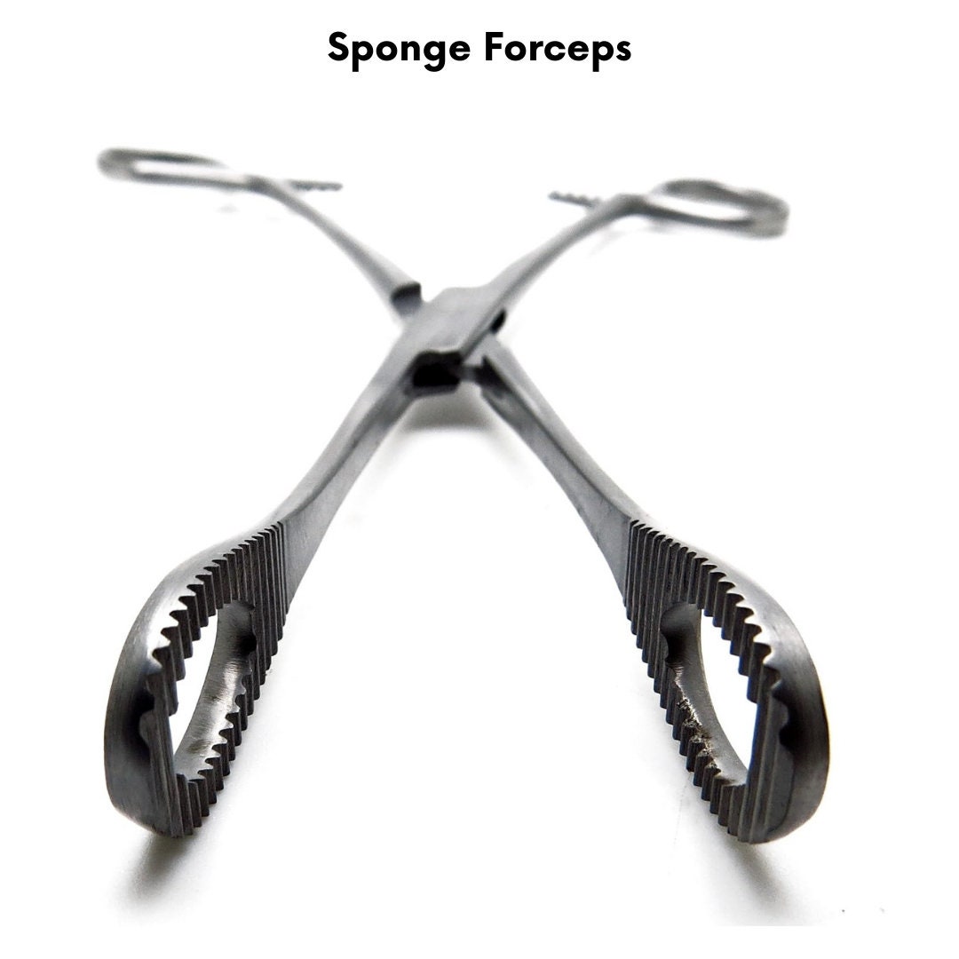 Stainless Steel Sponge Holding Cotton Swab Forceps Straight Serrated ...