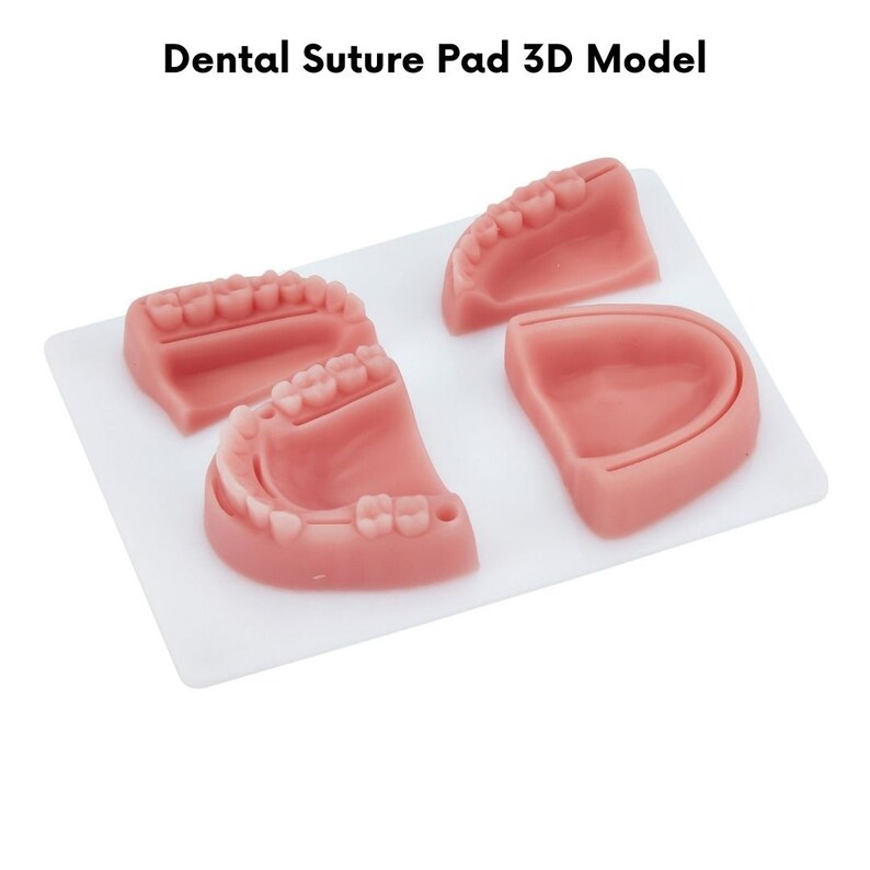 50x Dental Human Traumatic Skin Suture Medical Training Model Practice ...
