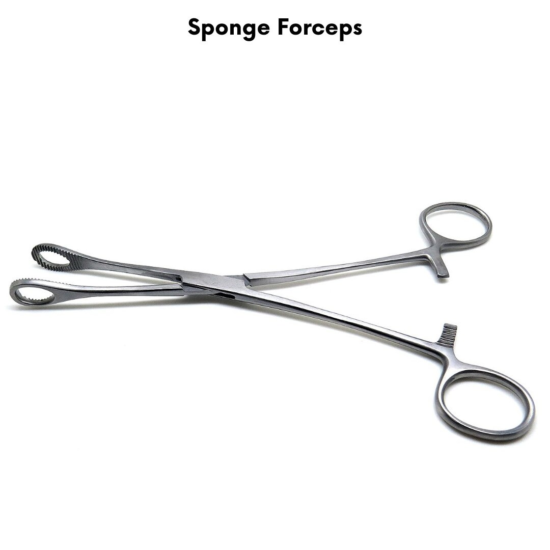 Stainless Steel Sponge Holding Cotton Swab Forceps Straight Serrated ...