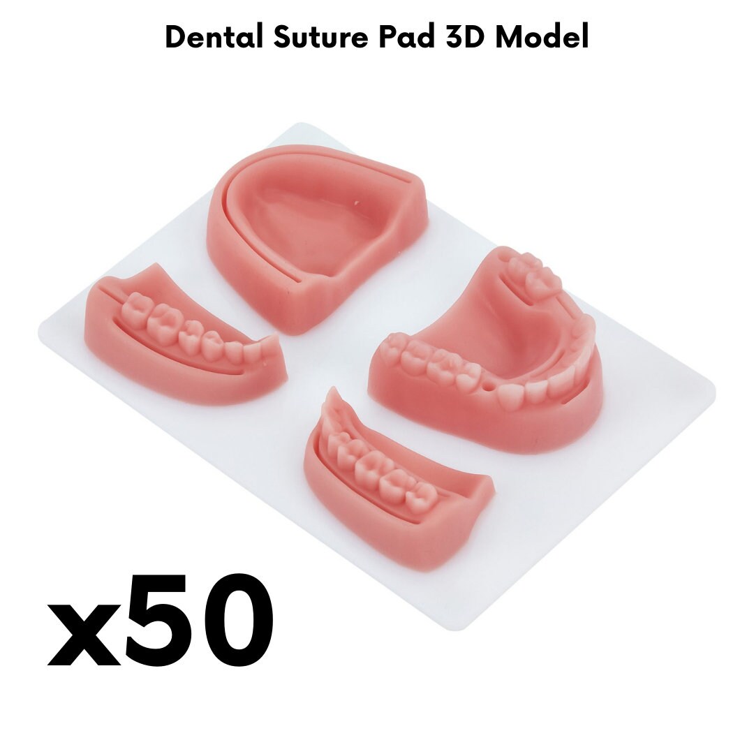 50x Dental Human Traumatic Skin Suture Medical Training Model Practice ...