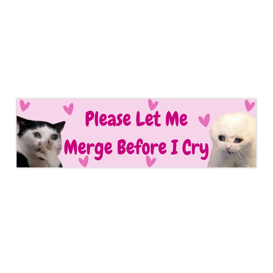 Please Let Me Merge Bumper Sticker, Sad Cat Sticker, Gifts for Her ...