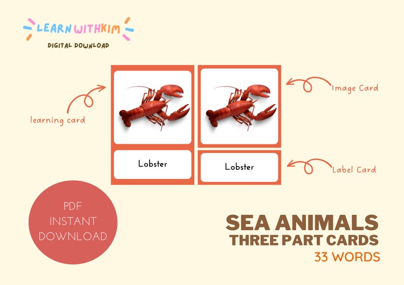 Sea Animals Flash Cards • Montessori Three Part Cards • Real Images ...