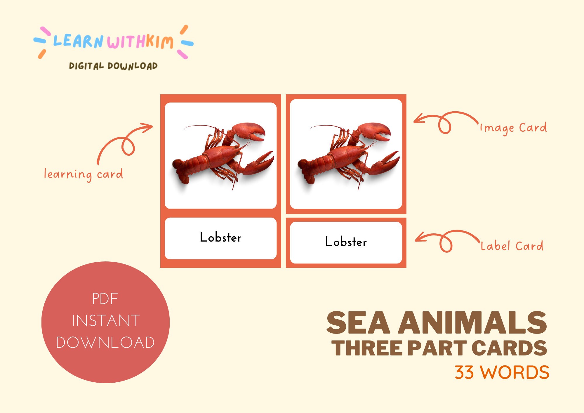 Sea Animals Flash Cards • Montessori Three Part Cards • Real Images ...