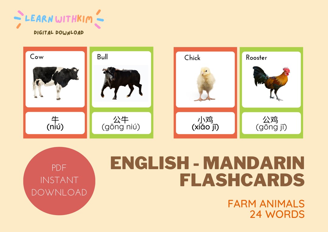 Farm Animal Flash Cards • Montessori 3-part Flash Cards • Real Images ...