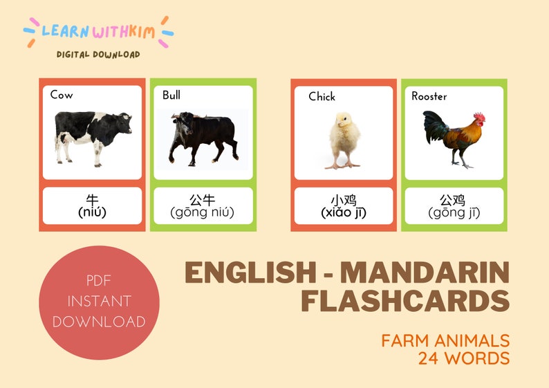 Farm Animal Flash Cards • Montessori 3-part Flash Cards • Real Images ...