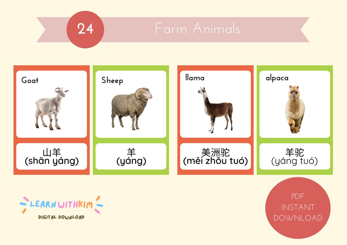 Farm Animal Flash Cards • Montessori 3-part Flash Cards • Real Images ...