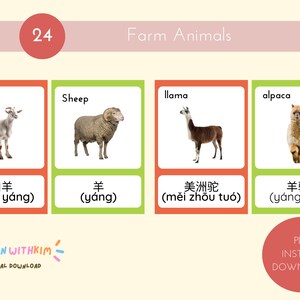 Farm Animal Flash Cards • Montessori 3-part Flash Cards • Real Images ...
