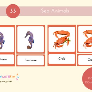 Sea Animals Flash Cards • Montessori Three Part Cards • Real Images ...