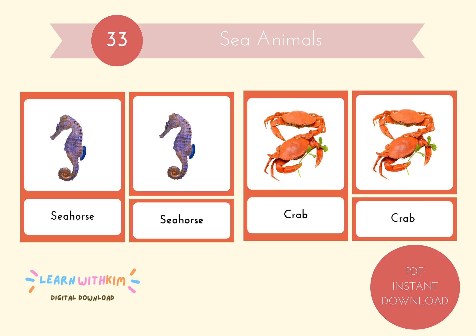 Sea Animals Flash Cards Montessori Three Part Cards Real Images ...