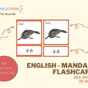 Sea Animal Flash Cards • Montessori 3-part Flash Cards • Real Images ...