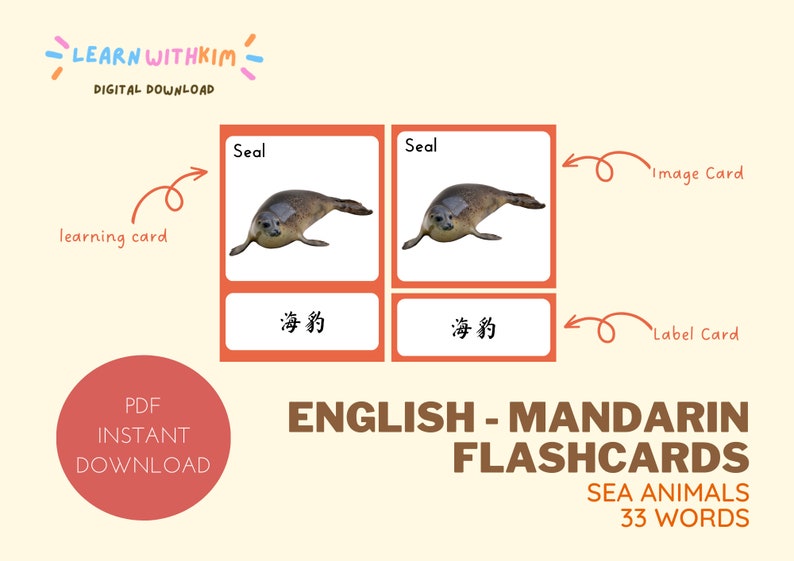 Sea Animal Flash Cards • Montessori 3-part Flash Cards • Real Images ...