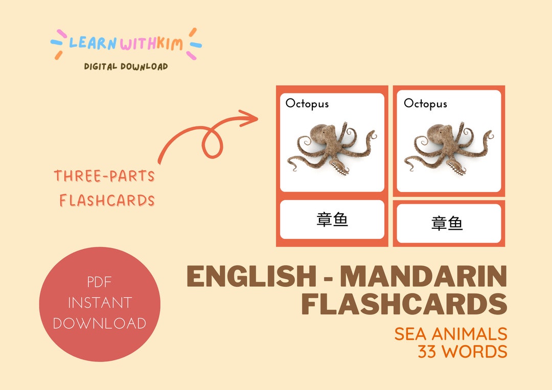 Sea Animal Flash Cards • Montessori 3-part Flash Cards • Real Images ...