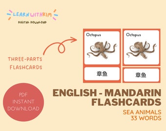 Farm Animal Flash Cards • Montessori 3-part Flash Cards • Real Images ...