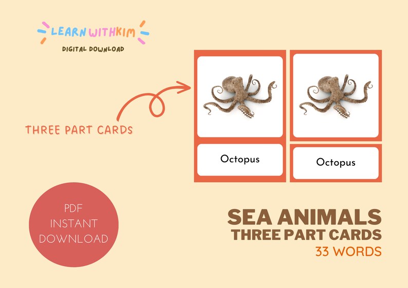 Sea Animals Flash Cards • Montessori Three Part Cards • Real Images ...