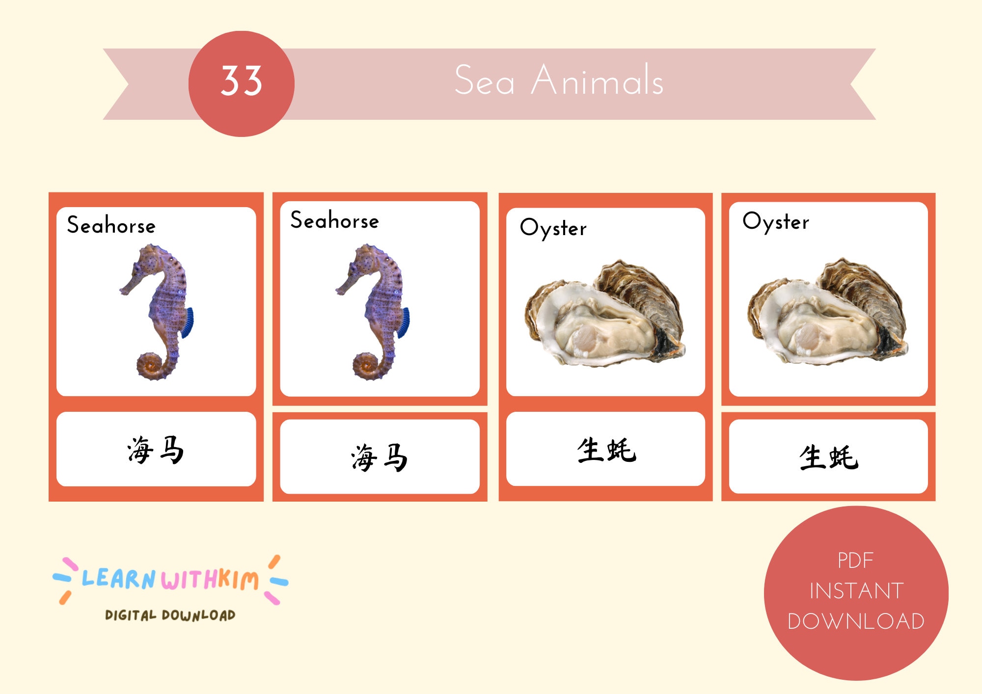 Sea Animal Flash Cards • Montessori 3-part Flash Cards • Real Images ...