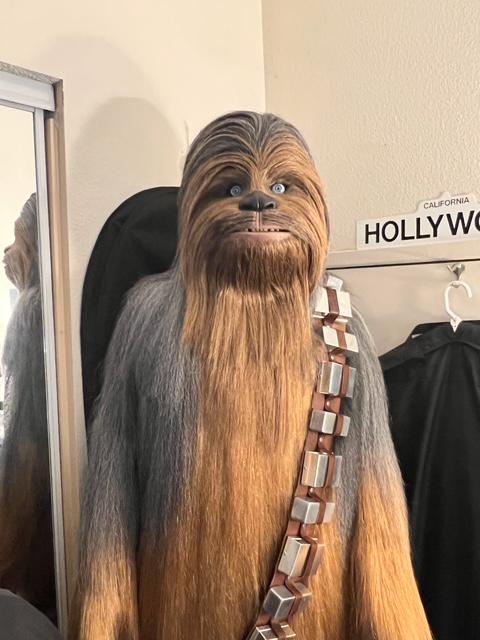 Chewbacca Costume, Top and Pant Only. Custom Made for Body Size, Size ...