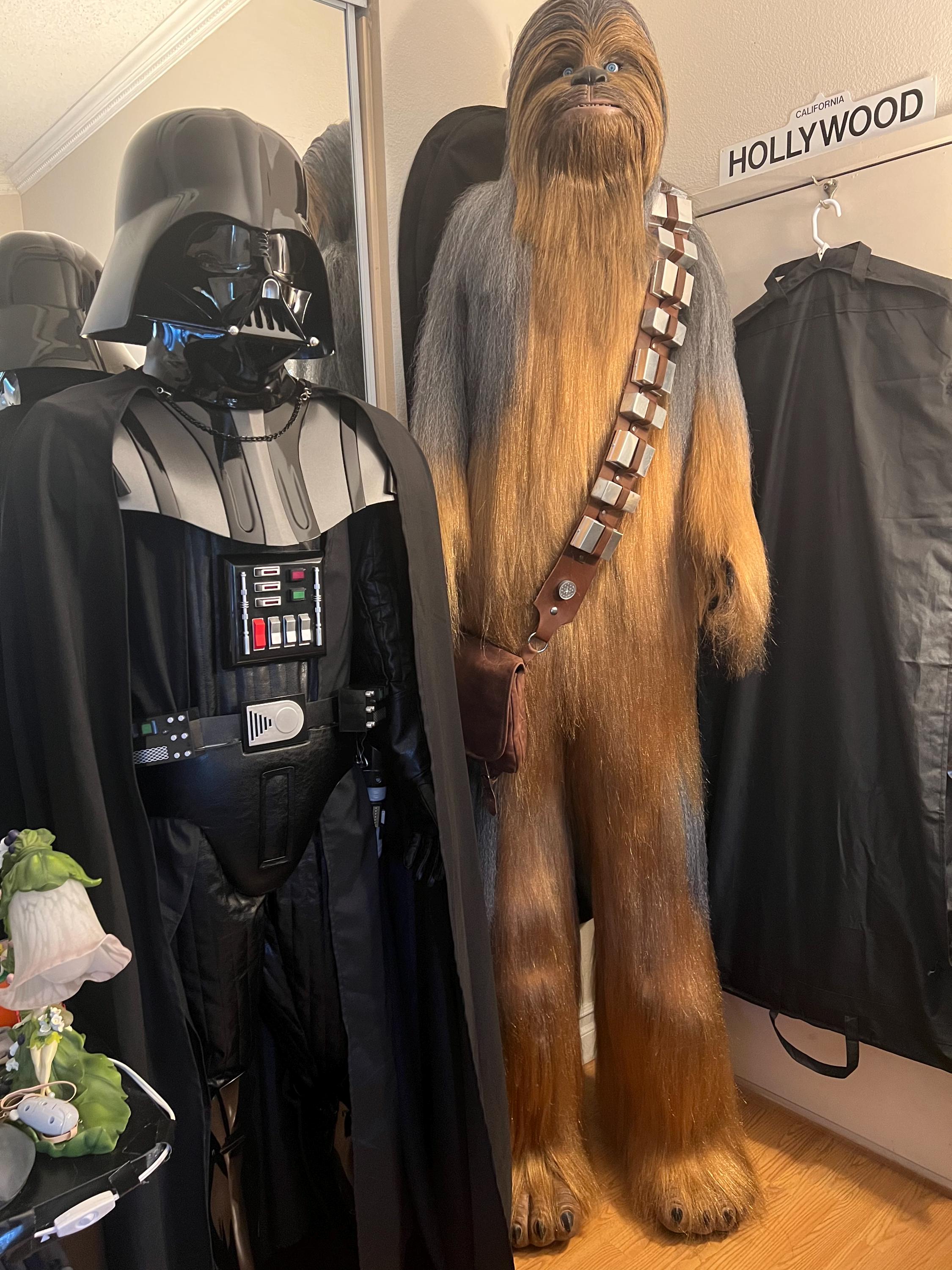 Chewbacca Costume, Top and Pant Only. Custom Made for Body Size, Size ...