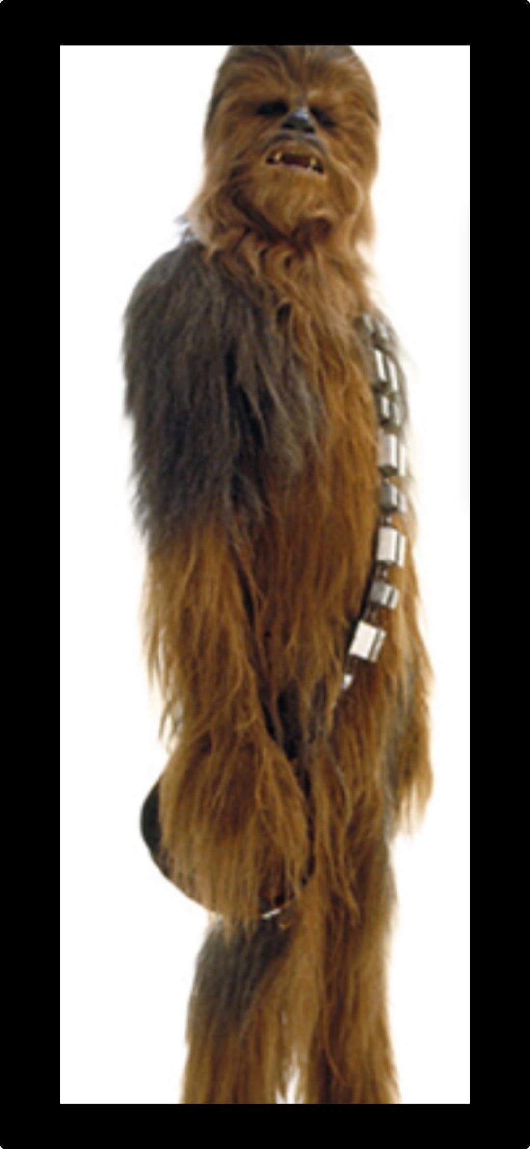 Chewbacca Costume, Top and Pant Only. Custom Made for Body Size, Size ...