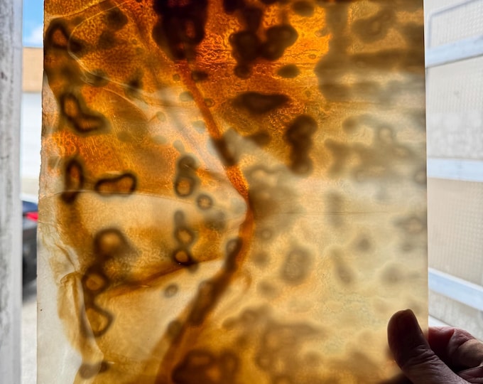 Chicago Art Glass Sheet, Mottled Brown White, 9”x14” C - Etsy