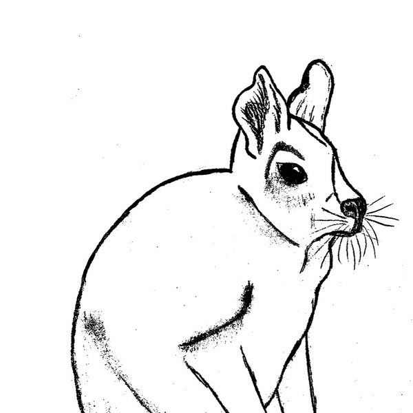 Mara Coloring Page - Etsy Australia