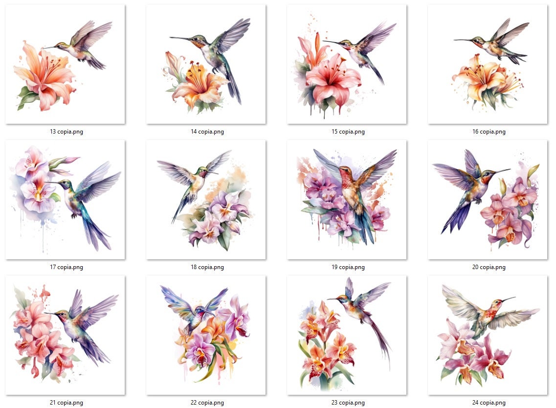 24 Enchanted Watercolor Hummingbird PNG Beautiful Bird Art for ...