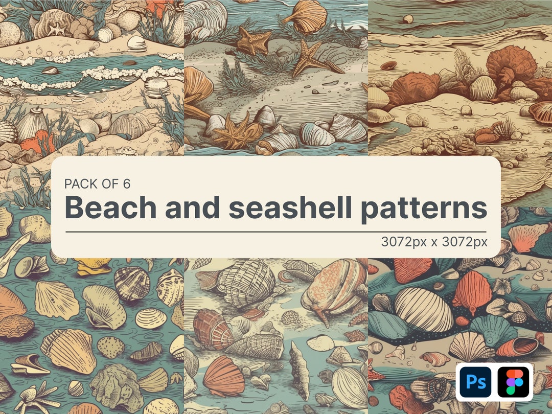 6 Seashells Patterns Beach Patterns Seamless Patterns Digital Prints ...