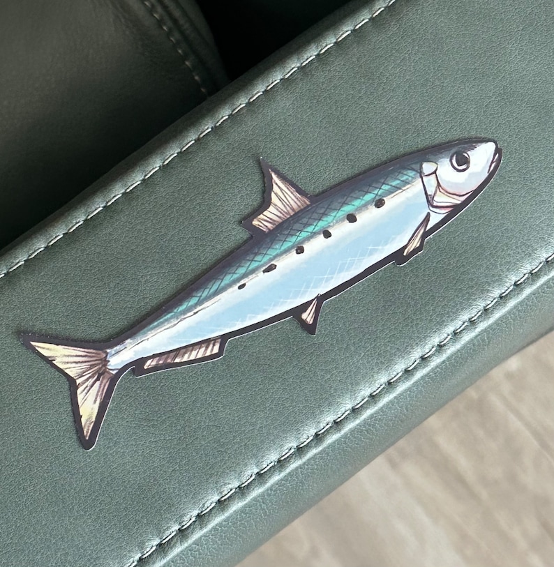 Fish Vinyl Stickers for Laptop Office Water Bottles Tackle Box Coolers ...