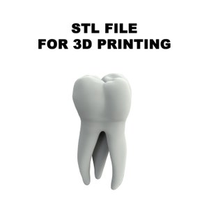 3D Printing Molar Tooth Model Real Human Tooth STL File - Etsy