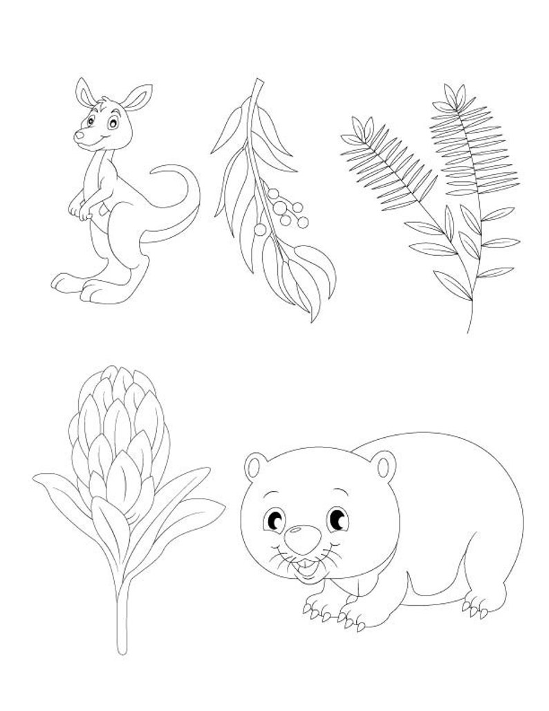 Colouring Pages Australian Animals and Plants, Kangaroo, Kuala ...