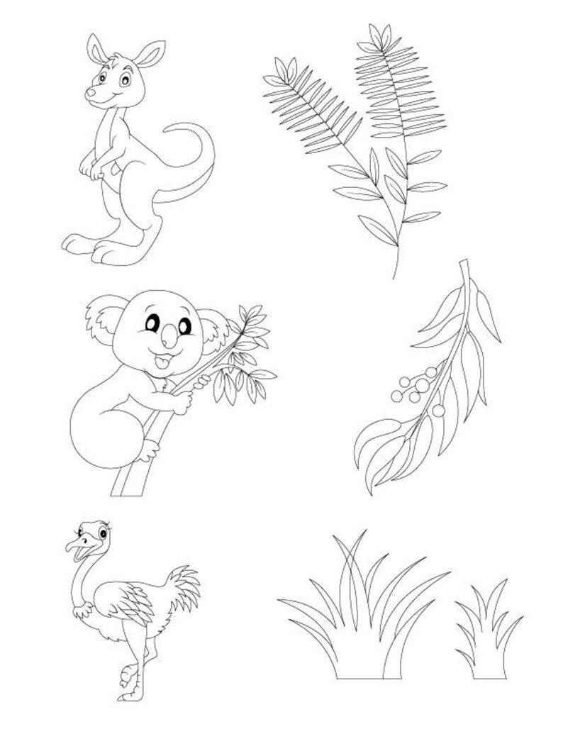Colouring Pages Australian Animals and Plants, Kangaroo, Kuala ...