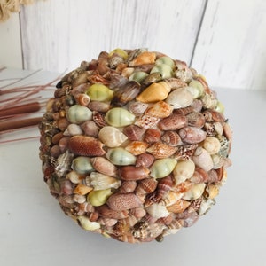 Seashell Cluster Ball, Seashell Ball 7'', Shell Orb, Shell Cluster ...