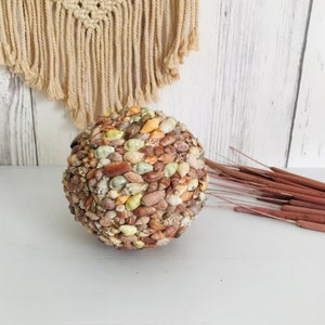 Seashell Cluster Ball, Seashell Ball 7'', Shell Orb, Shell Cluster ...