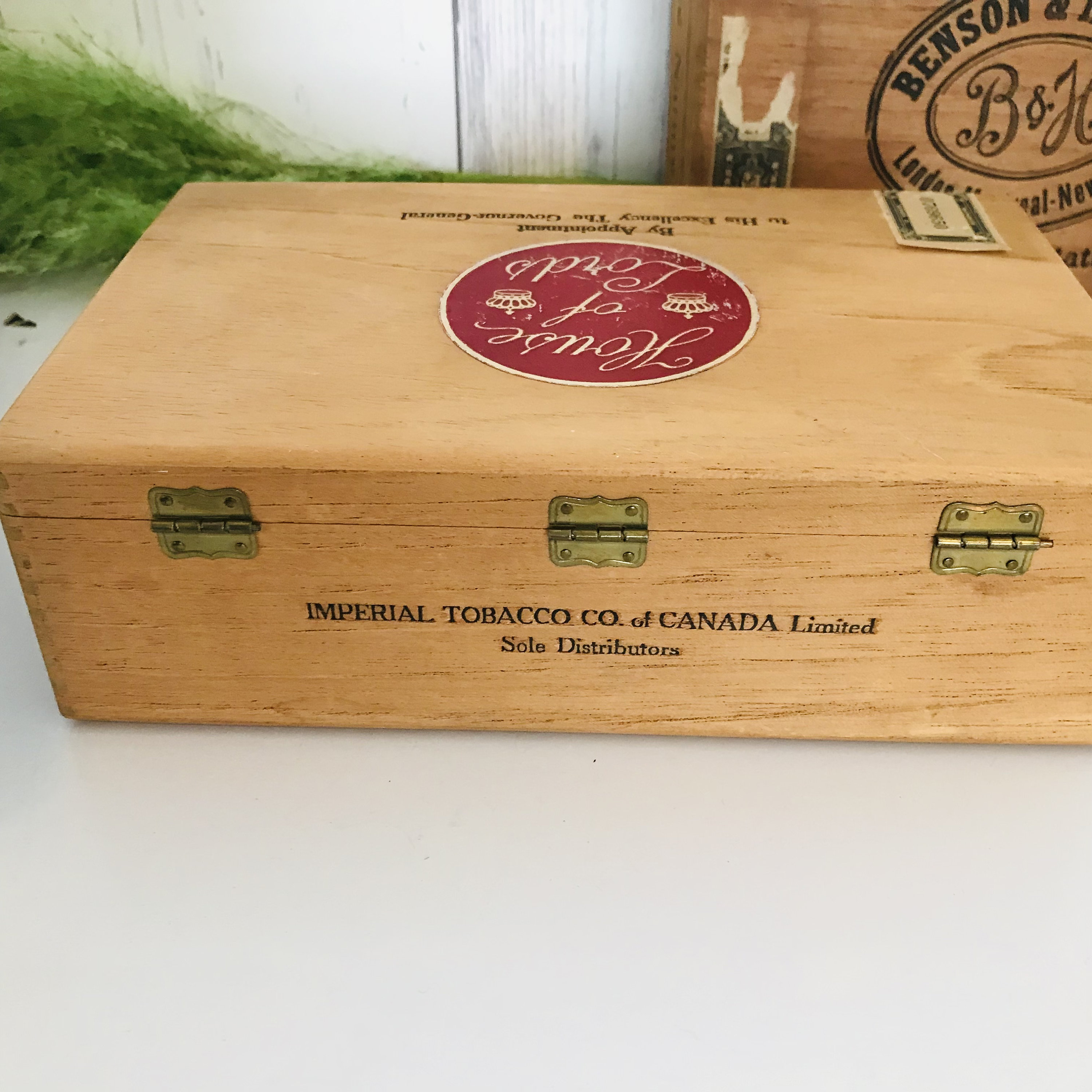 Rare Antique Cigar Box House of Lords Petit Coronas , Antique House of ...