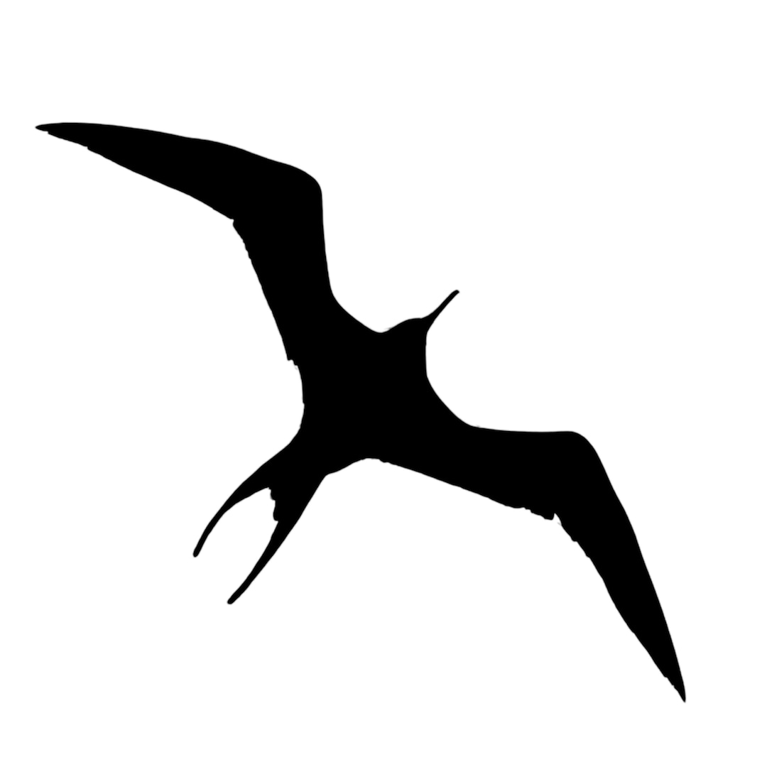 Iwa Digital Download - Etsy