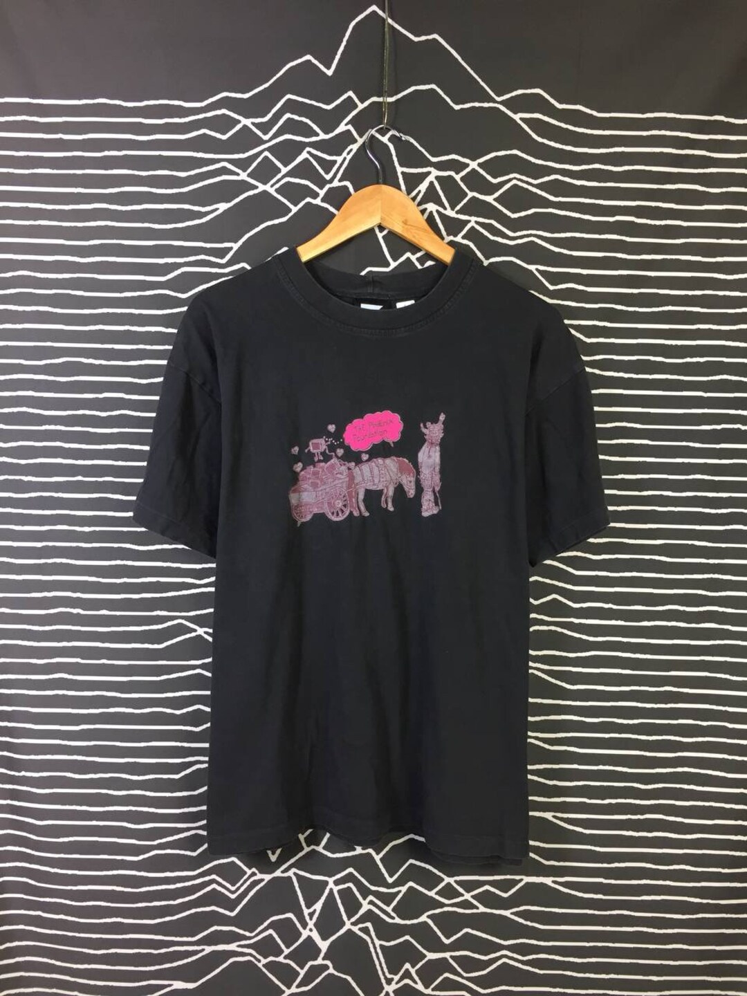 Vtg the Phoenix Foundation Indie Rock Band Tee / Alternative 90s ...