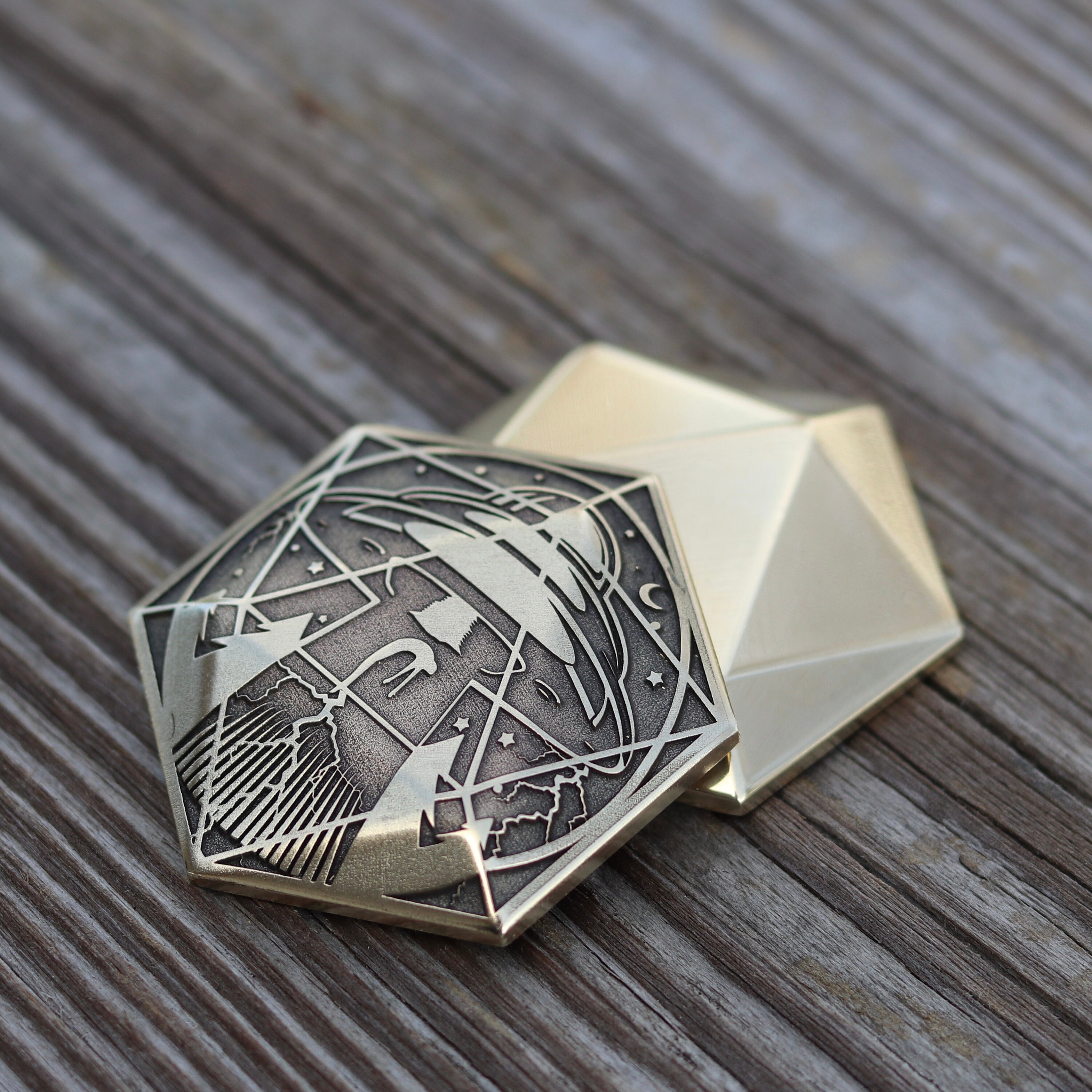Alien Abduction Coin Challenge Coin, Haptic, Fidget Toys, Coins ...