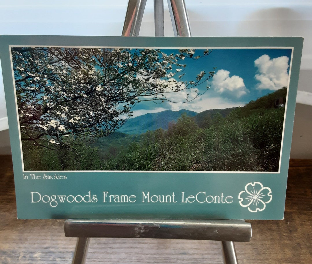 Old Postcards From Different Places in Georgia (lot of 4 Cards) - Etsy