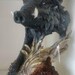 Boar Head Bust / Wild Pig Resin Statue /decoration Figurine Home Design ...