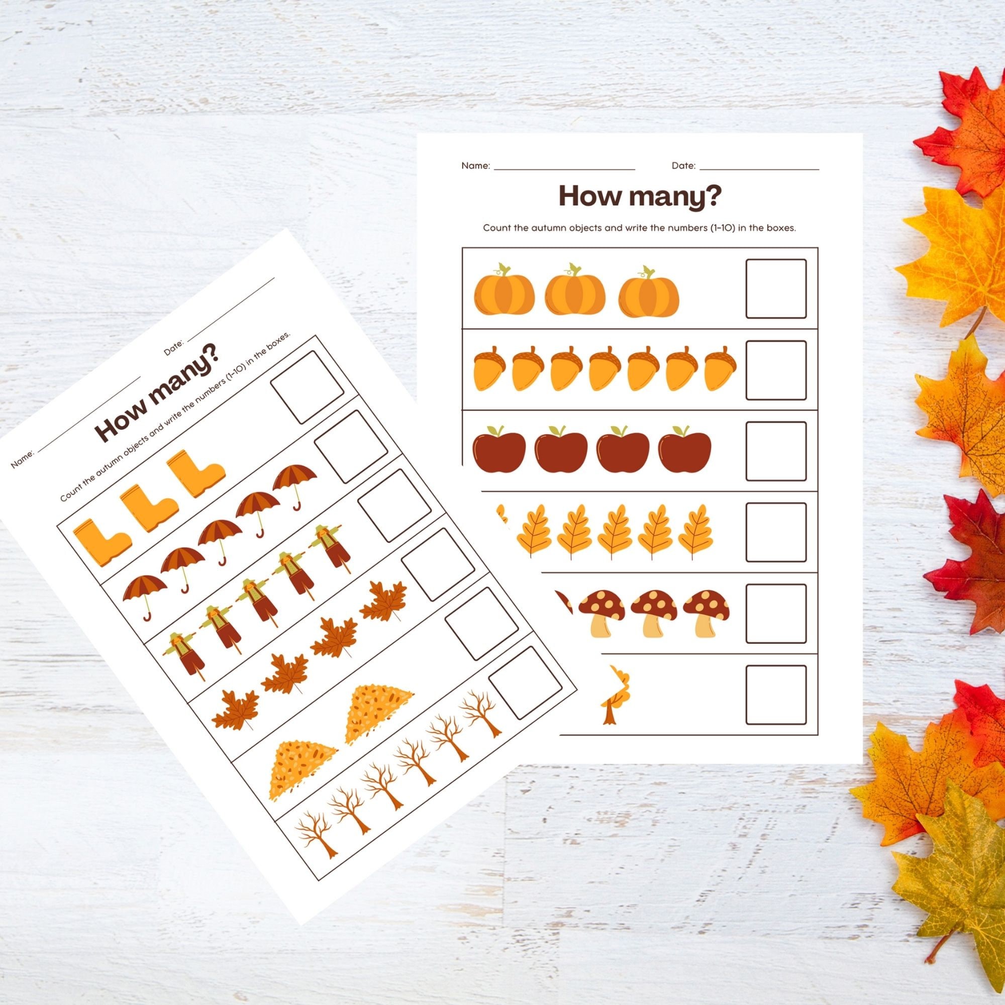Autumn Counting Worksheet, Autumn Math Worksheets, Fall Counting ...