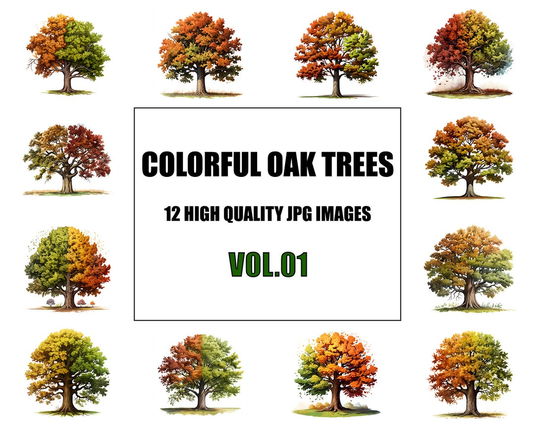 Colorful Oak Trees Clipart - Digital Art - 12 High Quality JPG Images ...
