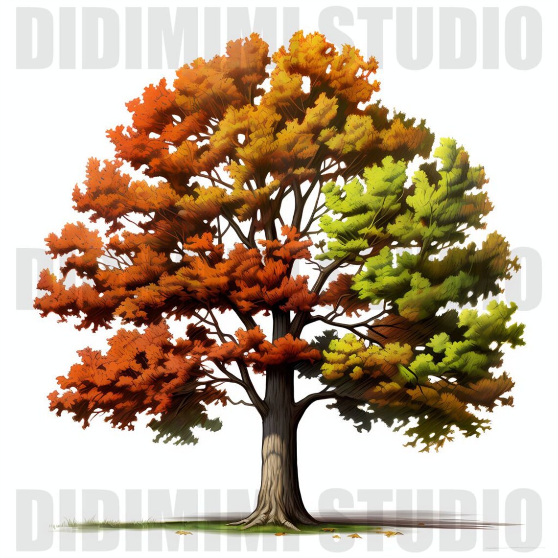 Colorful Oak Trees Clipart - Digital Art - 12 High Quality JPG Images ...