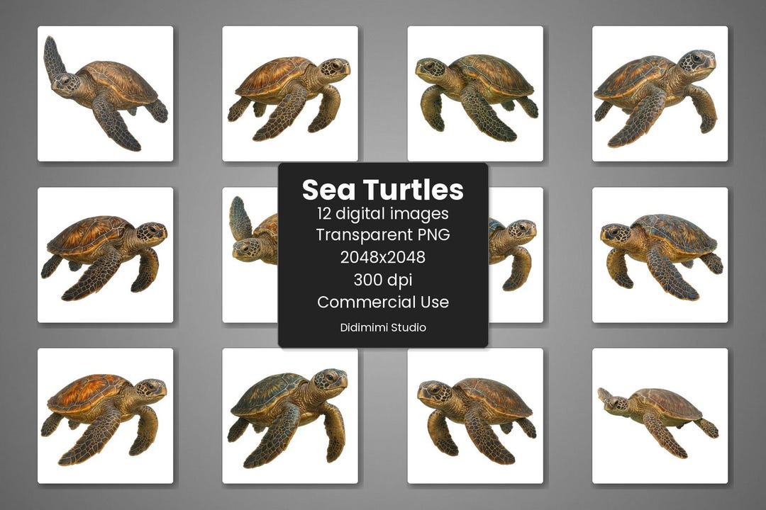 Sea Turtle Clipart PNG | Watercolor Ocean Marine Animals (commercial ...