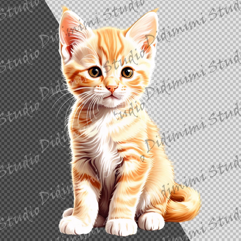 Cute Cats Clipart - Digital Art - 11 High Quality PNG Images - 300dpi ...
