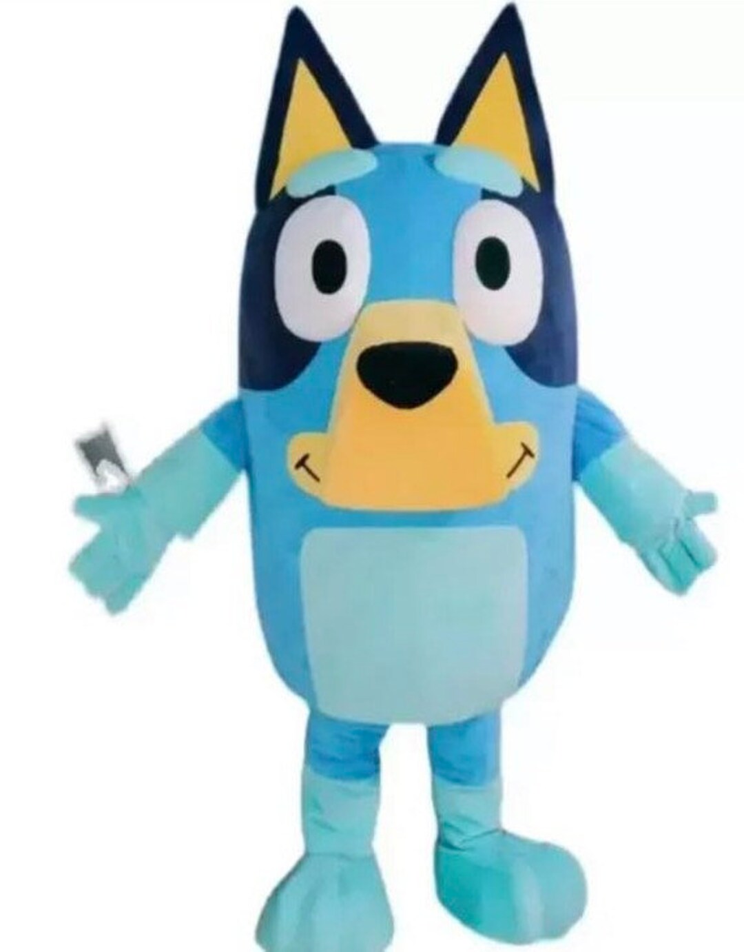 Bluey Mascot Costume - Etsy