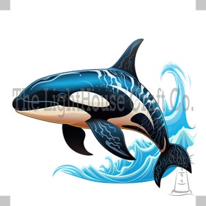 Orca Killer Whale Stylised Clip Art 12 High Quality Jpgs - Digital ...