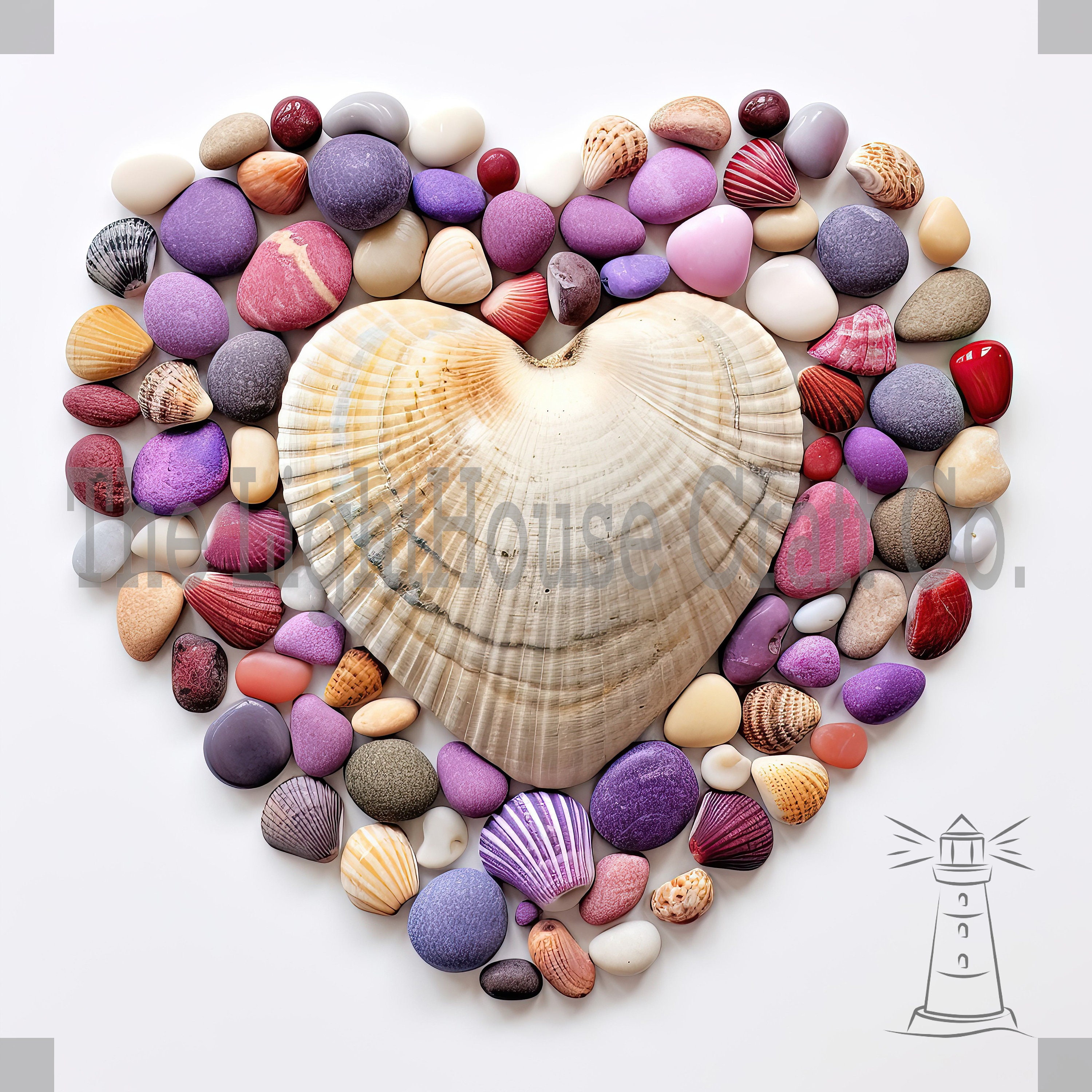 Seashell Love Hearts Clip Art 12 High Quality Jpgs Digital - Etsy